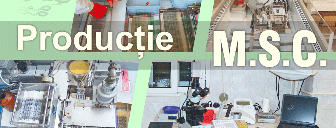 Home - Material Seminal Tauri. Reproducţiei la bovine.